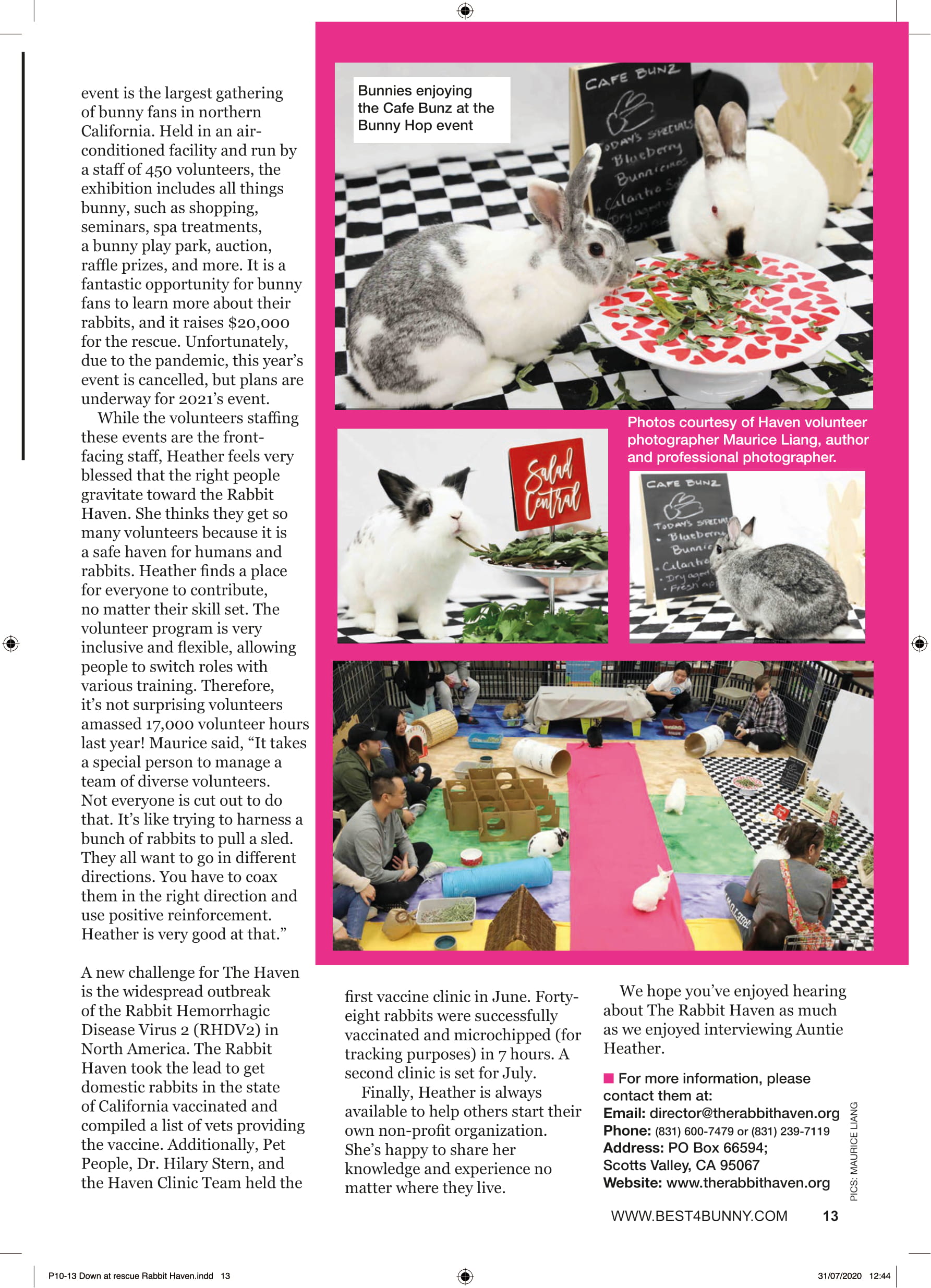 Rabbit Haven in Best4Bunny magazine! | The Rabbit Haven