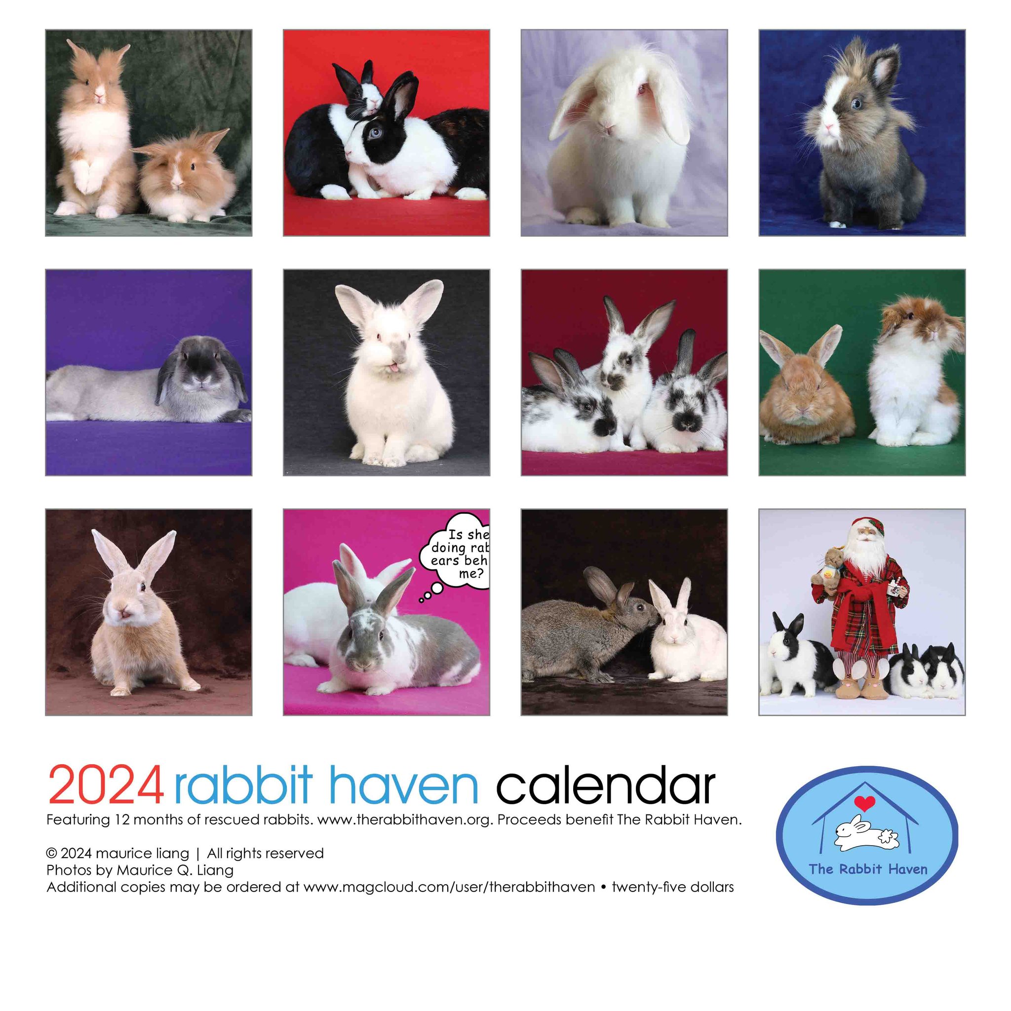2024 Rabbit Haven calendar now available | The Rabbit Haven